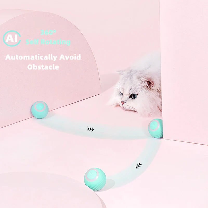 Smart Self Rolling Ball – luckinwish