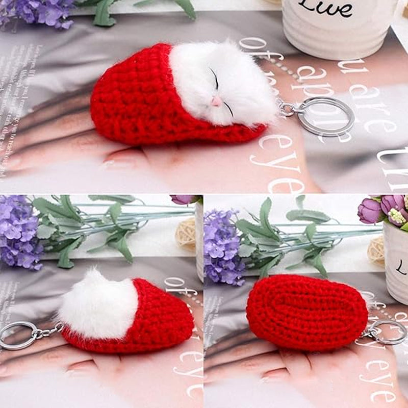 Cute Sleeping Kitten Keychain – luckinwish