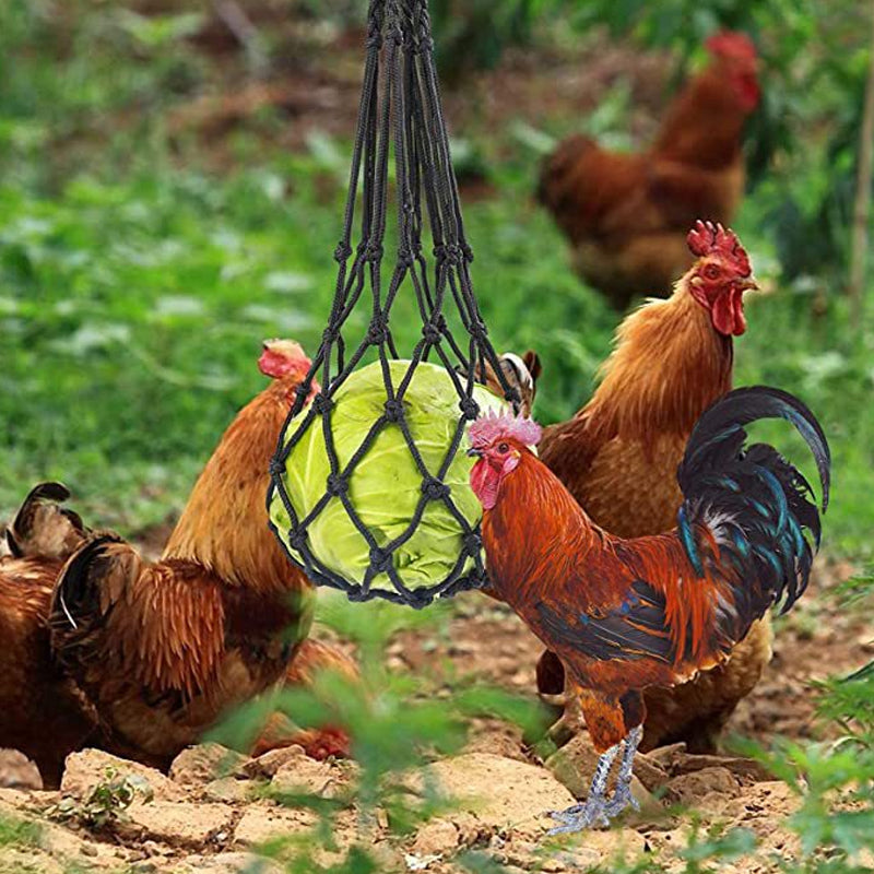 Nets for Poultry Feeding – luckinwish