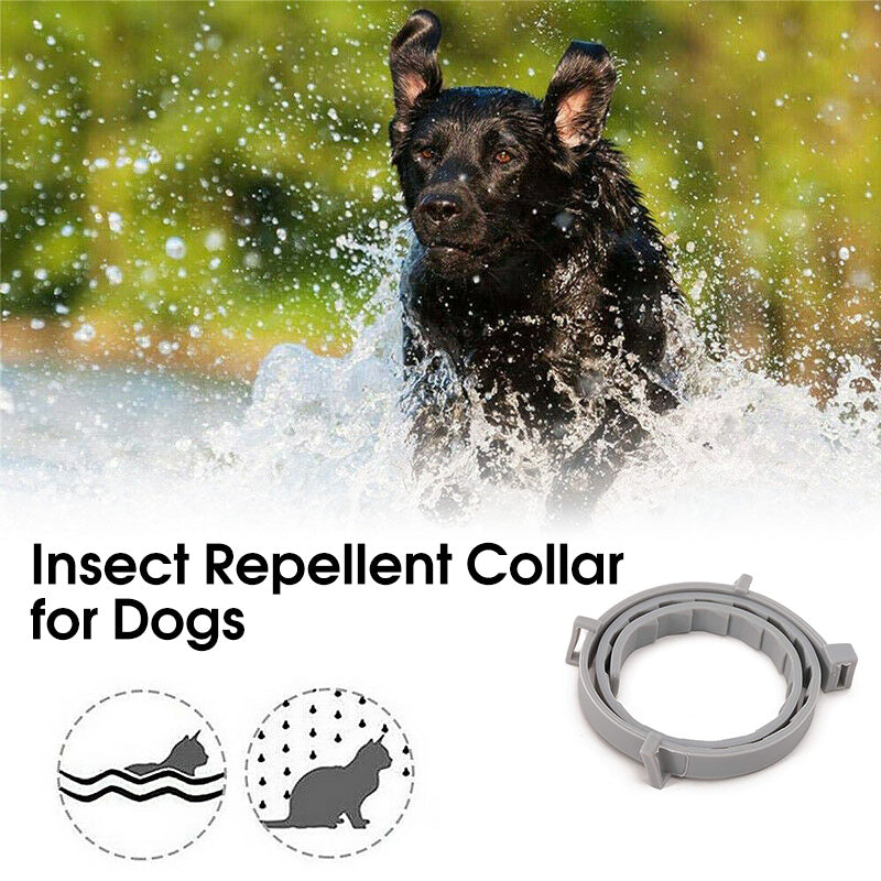 Adjustable Pet Insect Repellent Collar – luckinwish